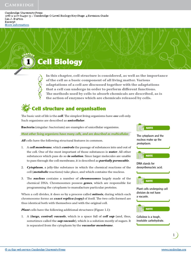 Cambridge o Level Biology Revision Guide | PDF | Blood Vessel | Cell ...