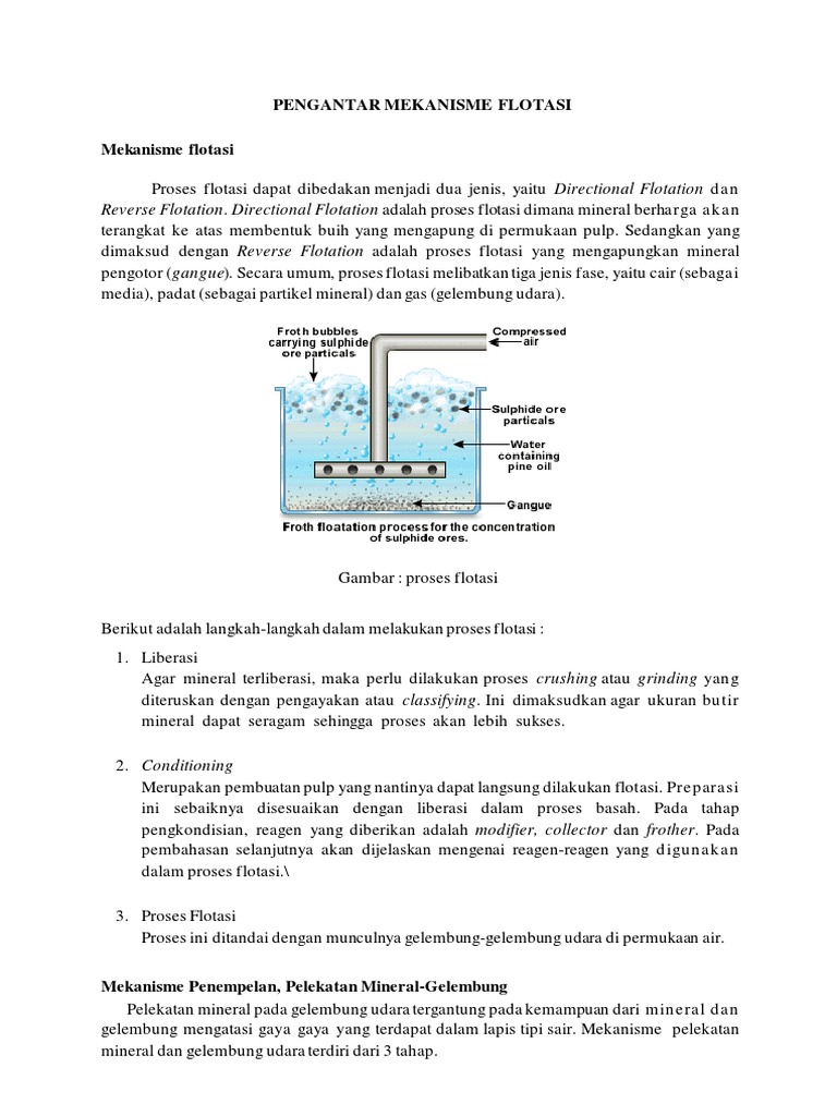 Pengantar MEKANISME FLOTASI | PDF