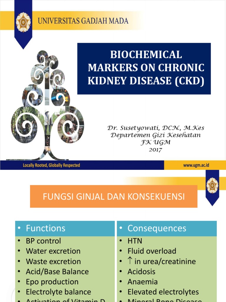 Biochemical Markers CKD | PDF | Dialysis | Chronic Kidney Disease