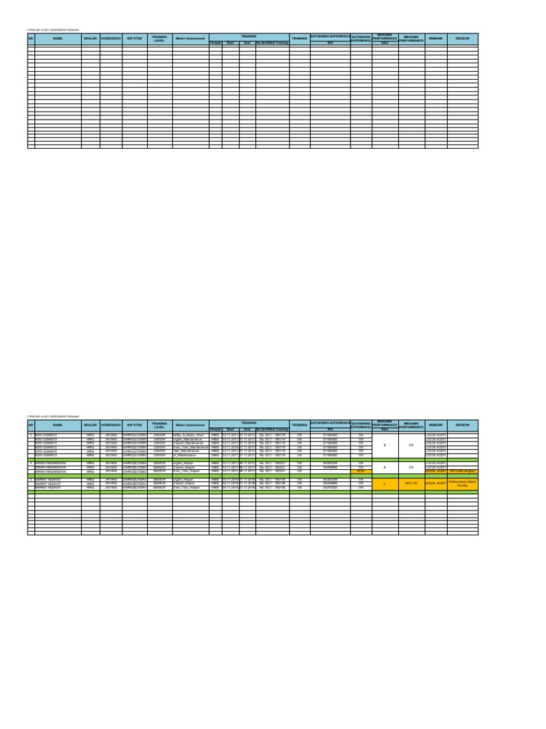 Mechanic Audit Assessment Form AM1 | PDF