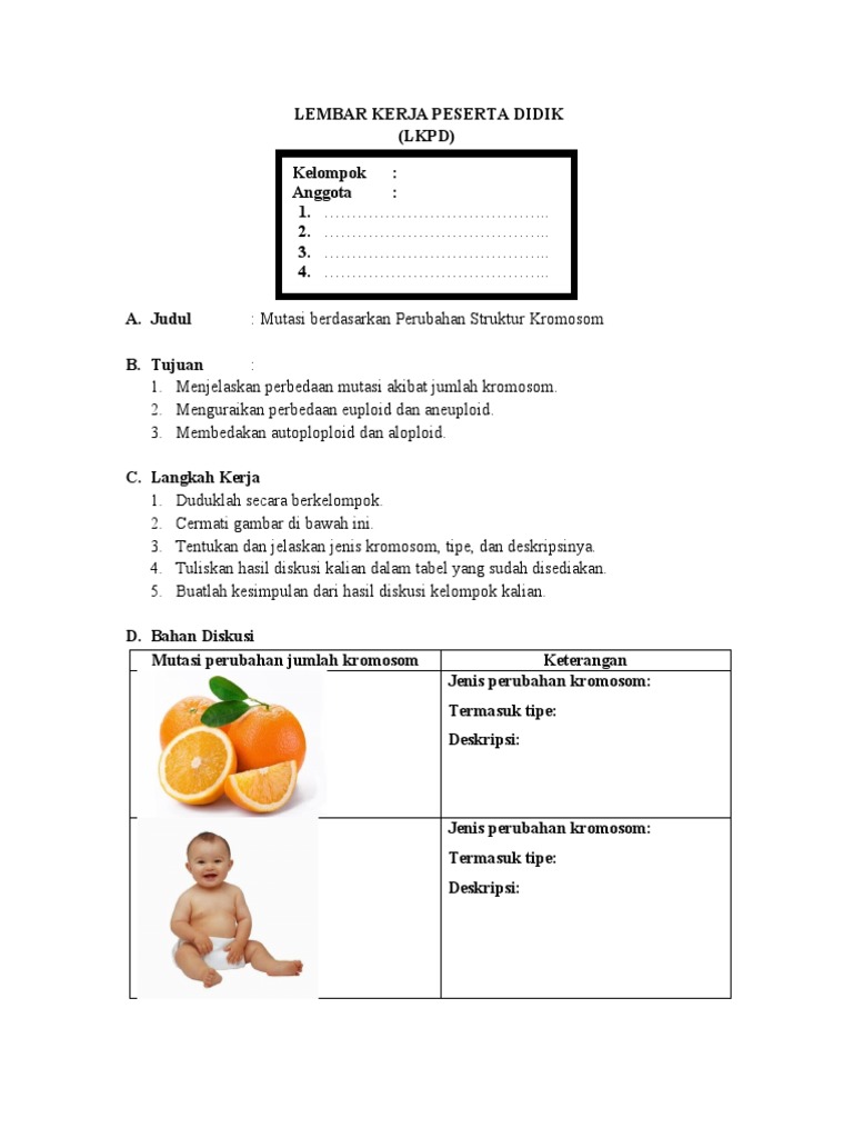 LKPD Mutasi Berdasarkan Perubahan Struktur Kromosom | PDF
