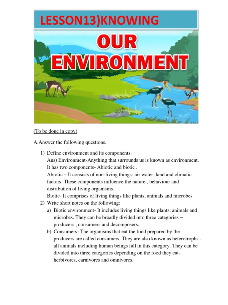 Lesson 13 Class 5 | PDF | Plants | Natural Environment
