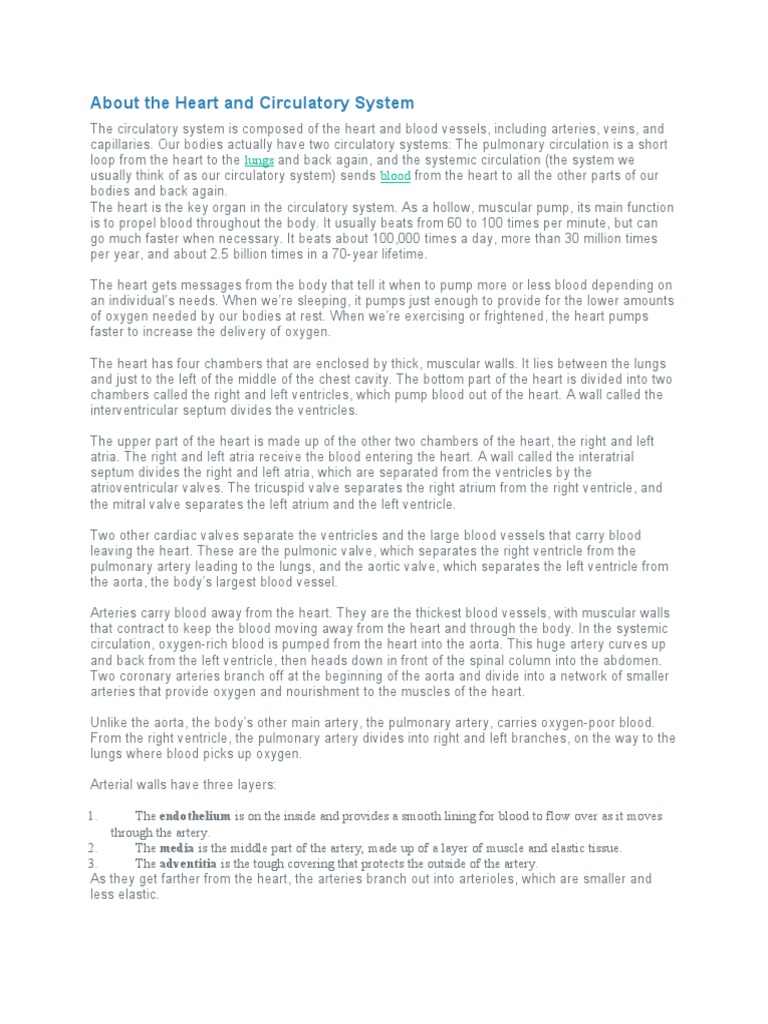 Circulatory System System | PDF | Heart | Circulatory System