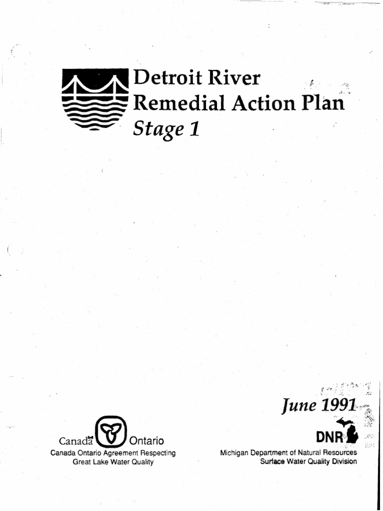 Detroit River Remedial Action Plan | PDF | Water Pollution | Great Lakes