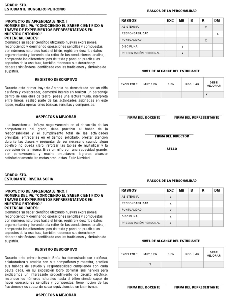 BOLETAS DESCRIPTIVAS Quinto Grado | PDF | Comprensión lectora | Experimentar