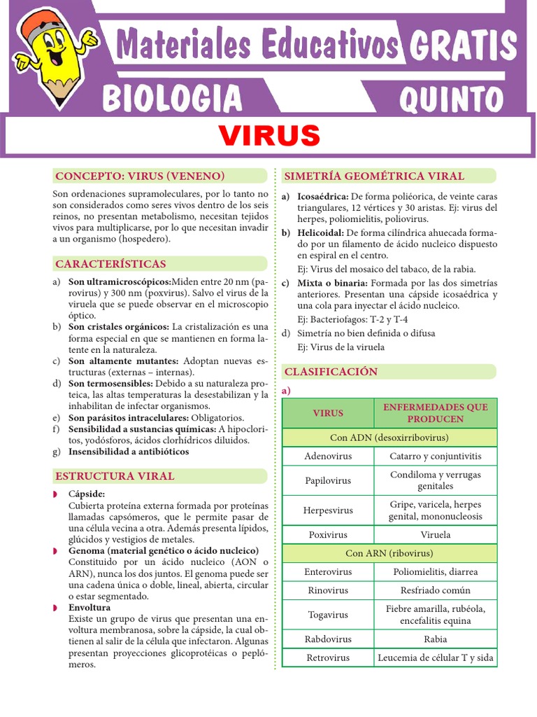Estructura y clasificación de virus | PDF | Virus | Biología Celular)