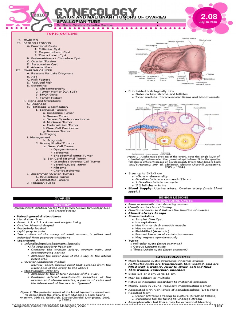 Gyne 2.6 - Benign and Malignant Tumors of The Ovaries and Fallopian ...