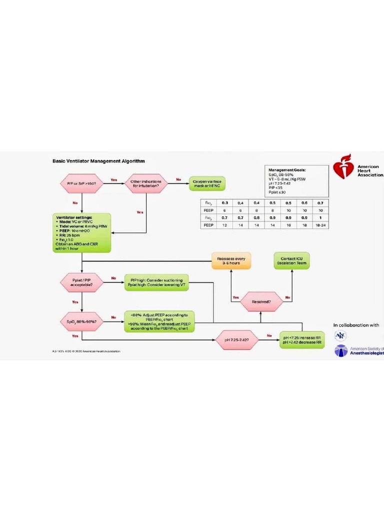 Aha 2020 BLS Acls Pals Ventilator | PDF