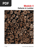 1.1.4.1 Timber Defects - Natural | PDF