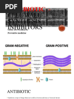 Antibiotic_chart | PDF | Antibiotics | Drugs