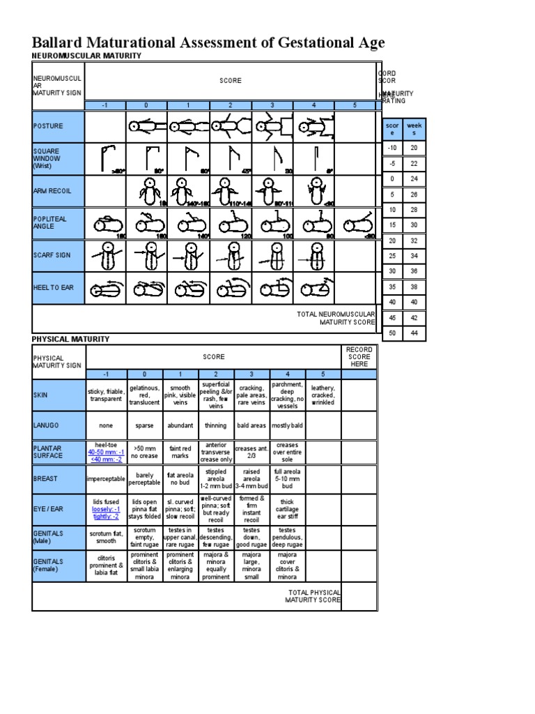 Ballard Maturational Assessment of Gestational Age: Neuromuscular ...