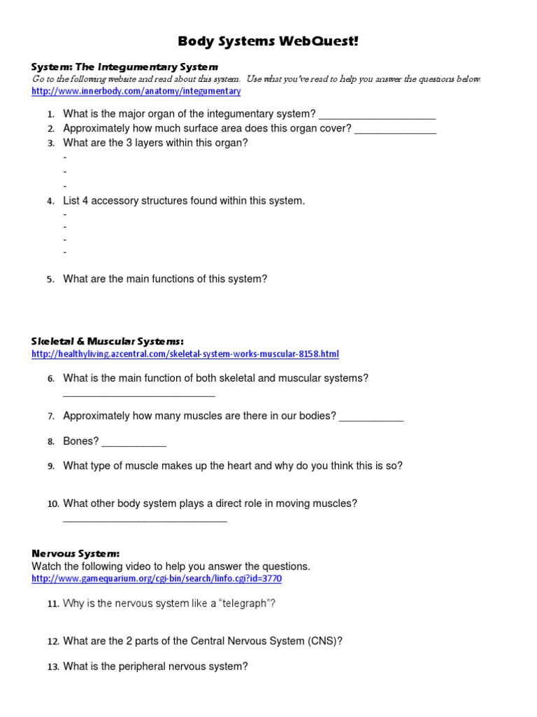 Body Systems Webquest!: System: The Integumentary System | PDF | Muscle ...
