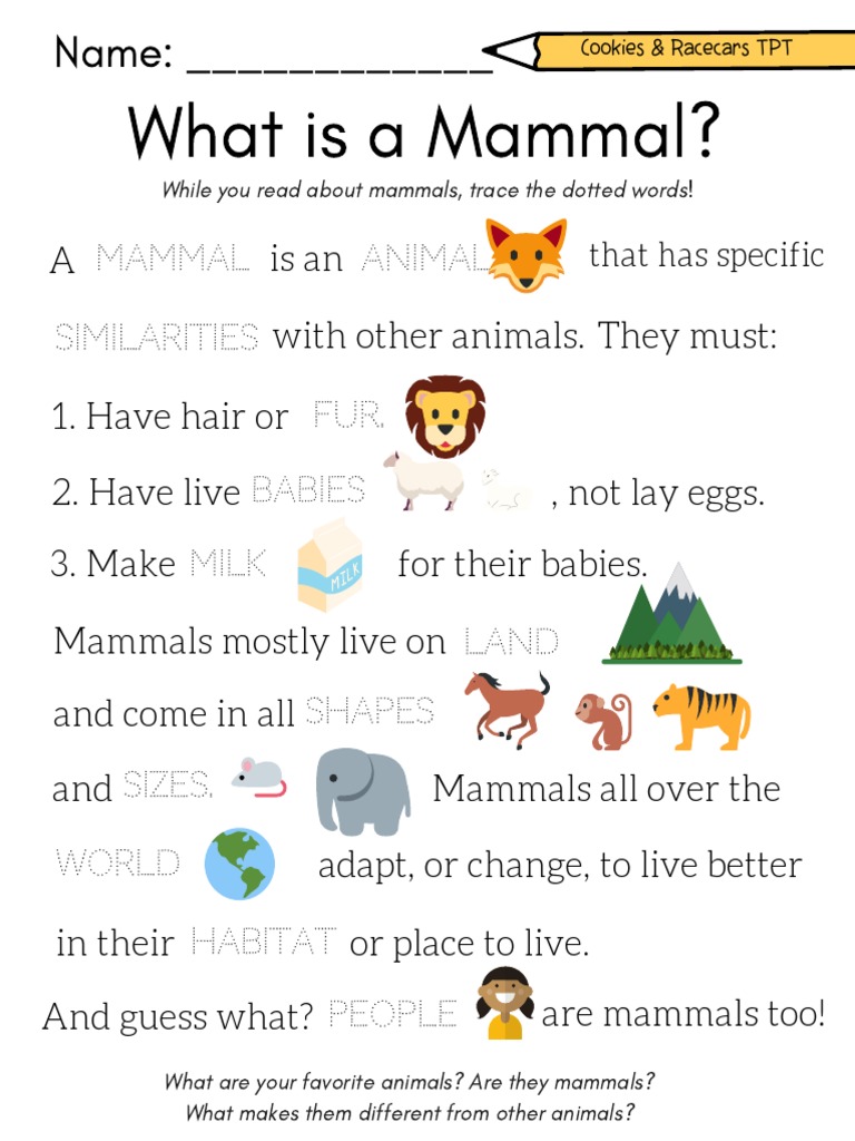 Land Animals Worksheet Pack | PDF | Nature