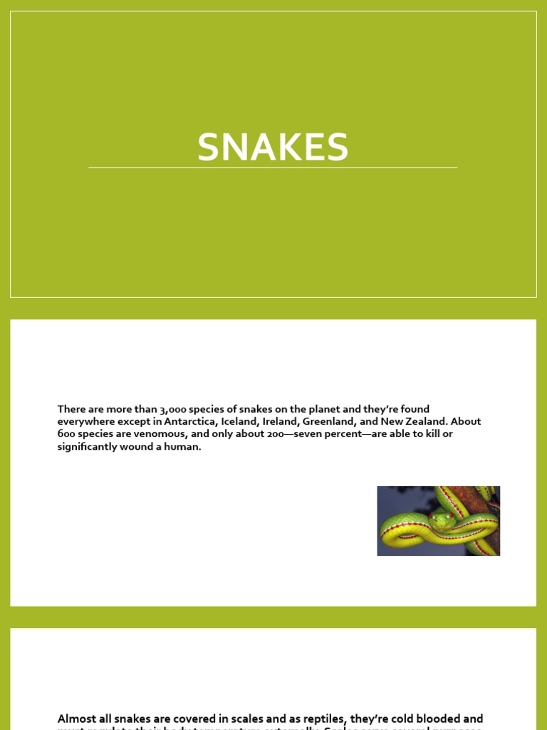 SNAKES | PDF