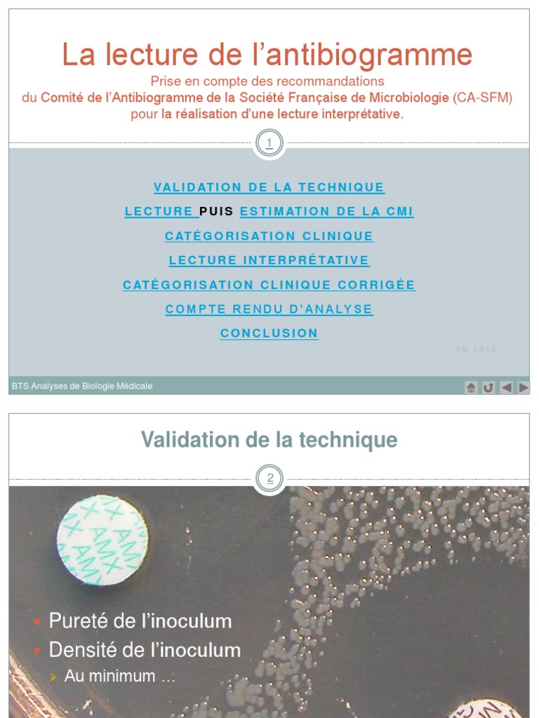 Lecture Antibiogramme 1011 | PDF | Microbiologie | Biologie
