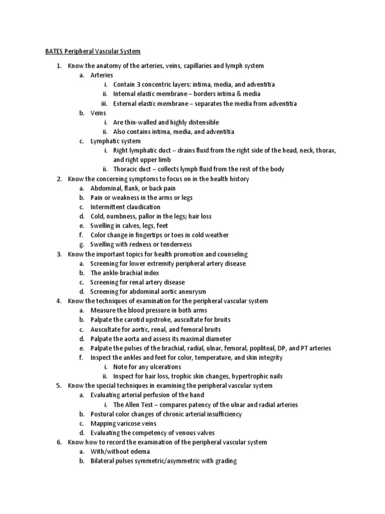 Peripheral Vascular System Overview | PDF | Artery | Vein