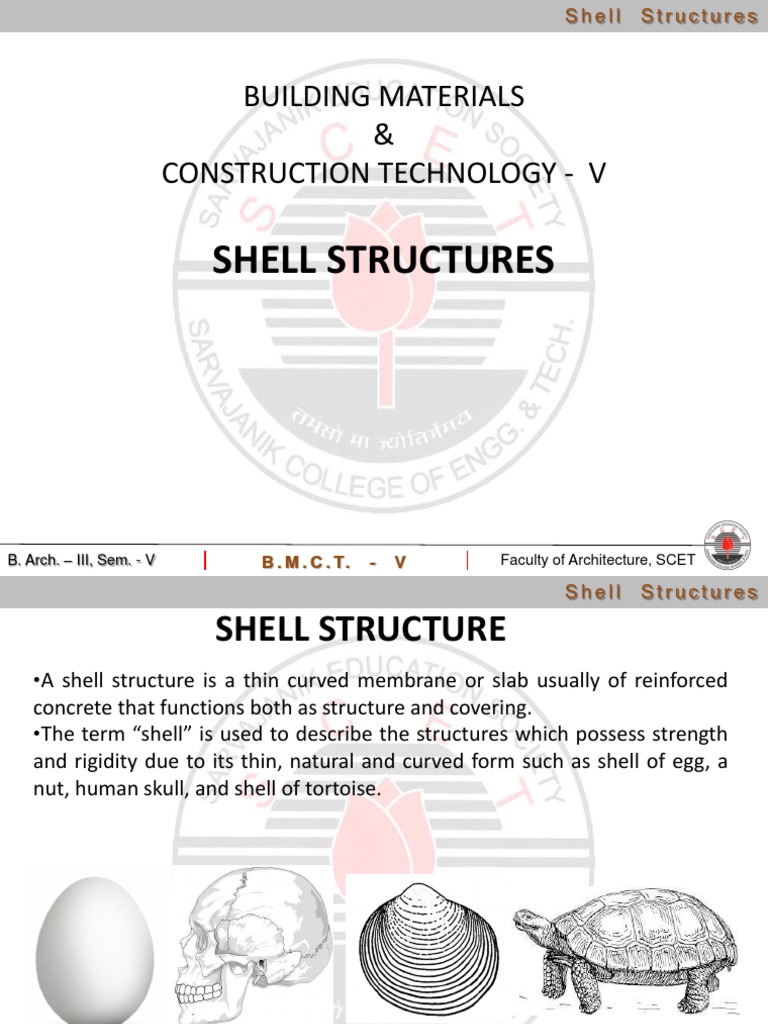 Natural Shell Structures
