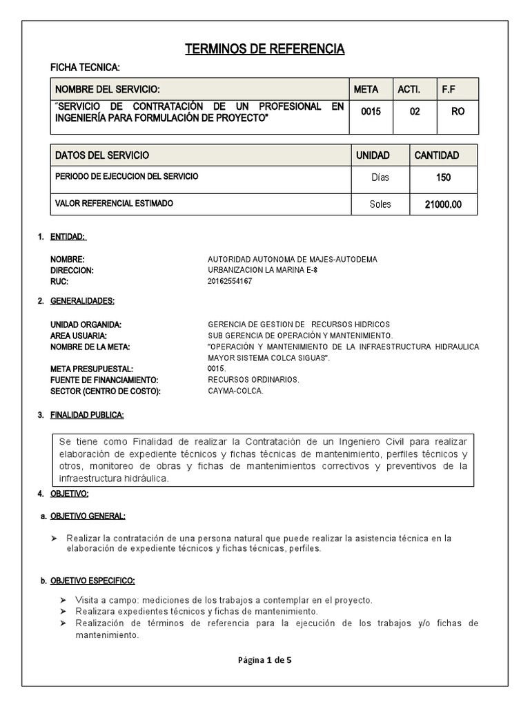 TDR Formulador de Proyecto | PDF | Ingeniería | Science