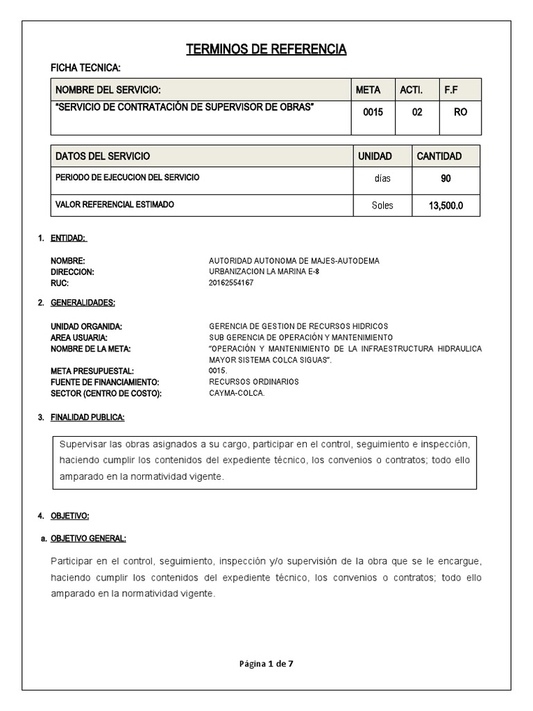 TDR Supervision de Obras | PDF