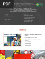 Triptico Nom 019 | PDF | Ciencias de la Salud