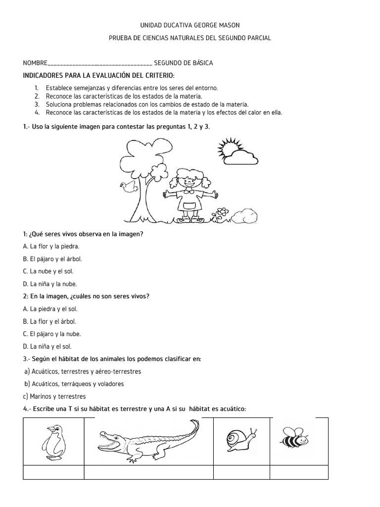 BINGO PARTES DEL CUERPO - material de la siguiente asignatura Ciencias ...