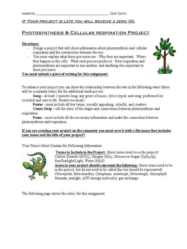 Photosynthesis Cellular Respiration Poster Project Grading Sheet PDF ...