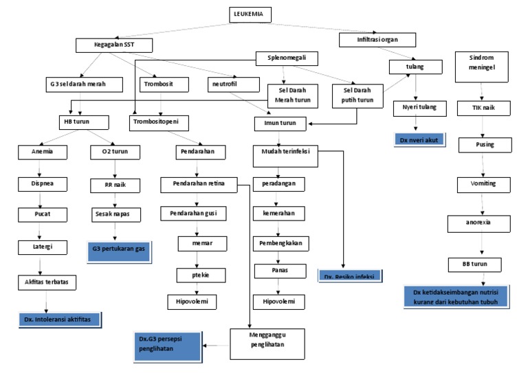 Patofisiologi Leukemia | PDF