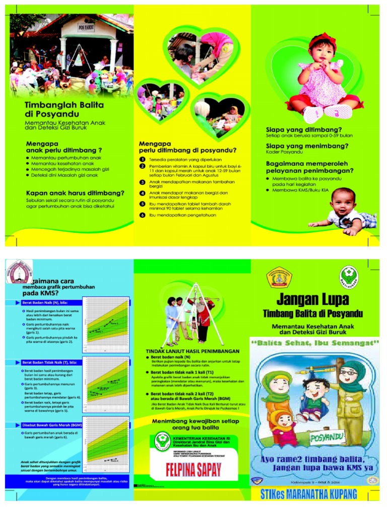 Leaflet Posyandu | PDF