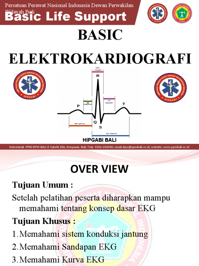 Basic ECG Hipgabi | PDF