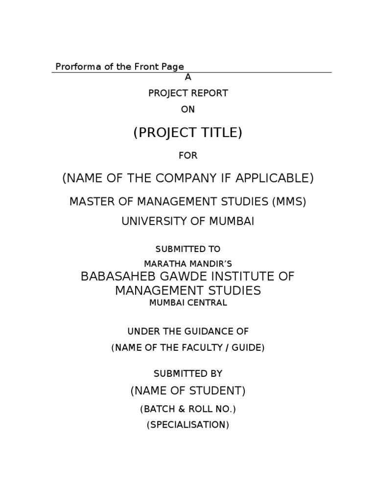 MMS Project Guidelines Revised | PDF