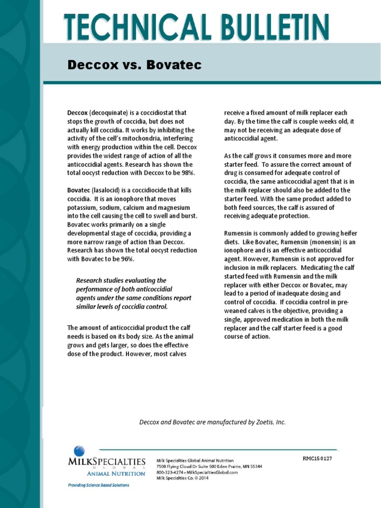 TB - Deccox Vs Bovatec PDF | PDF | Calf | Milk