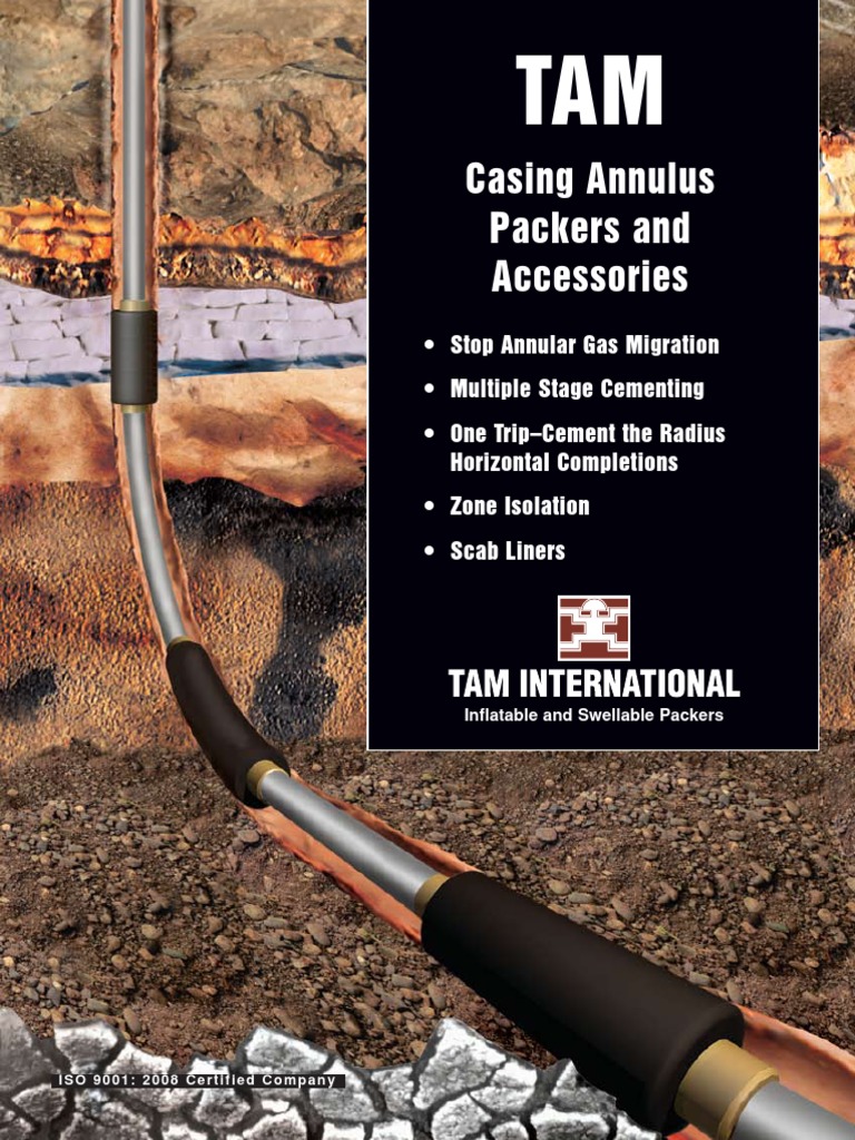 Casing Annulus Packers and Accessories | PDF | Casing (Borehole) | Valve