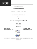 PYTHON Training Report PDF | PDF | Scope (Computer Science) | Parameter ...