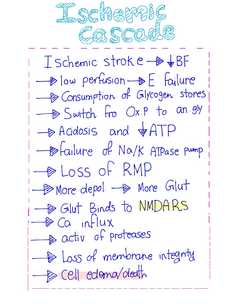 Ischemic Cascade PDF | PDF