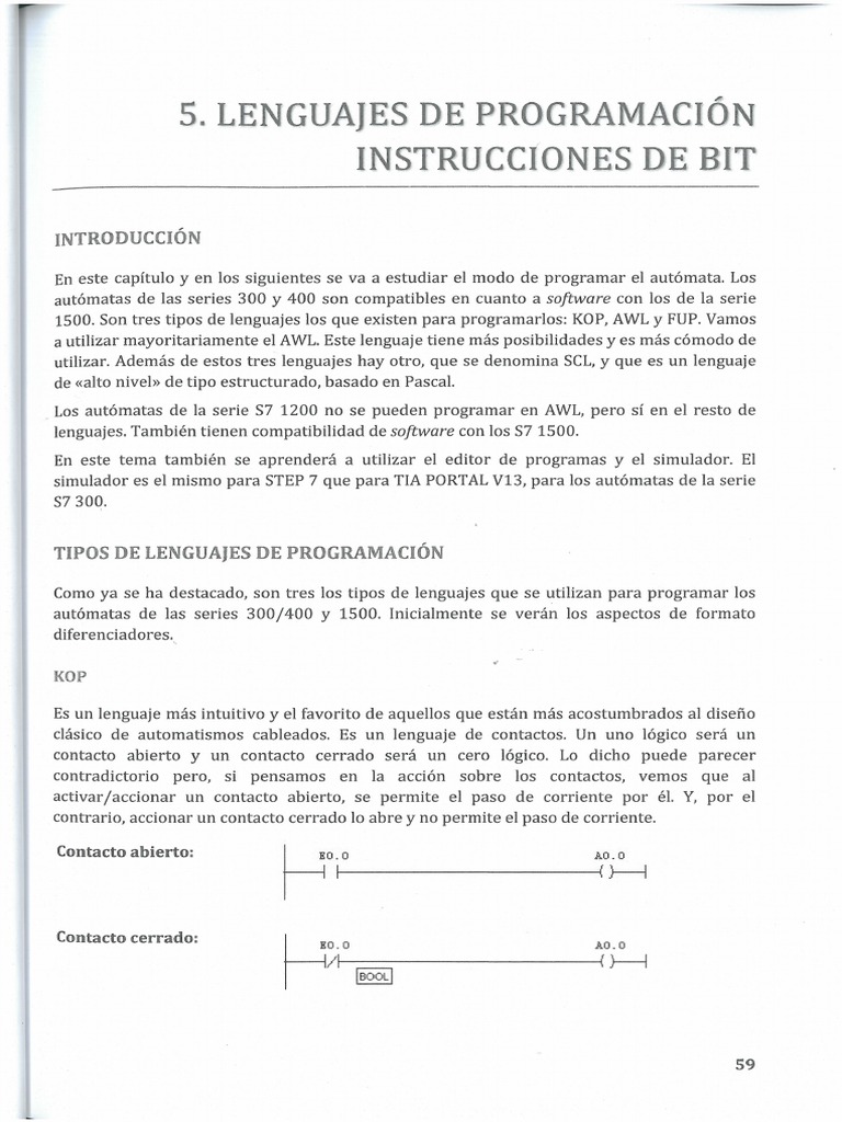 T5.Lenguaje de Programación - Intrucciones de Bit | PDF