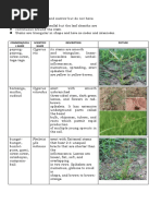 Philippine Weed Species Guide | PDF | Grass | Plants