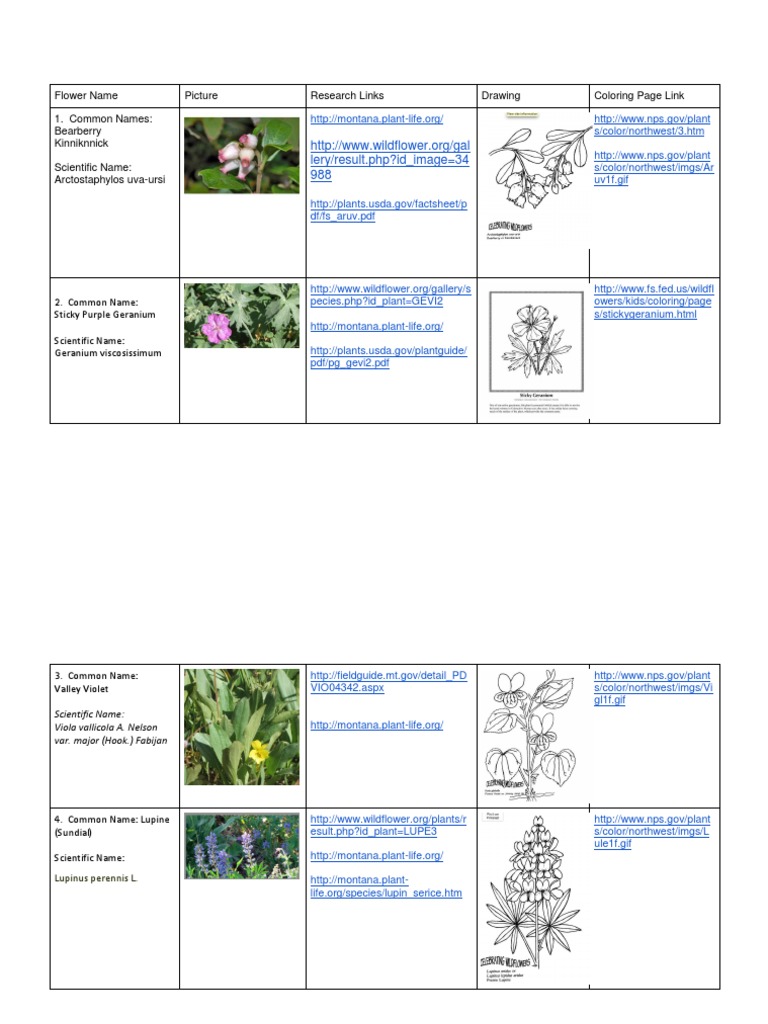 FlowerChart PDF | PDF | Garden Plants | Horticulture And Gardening