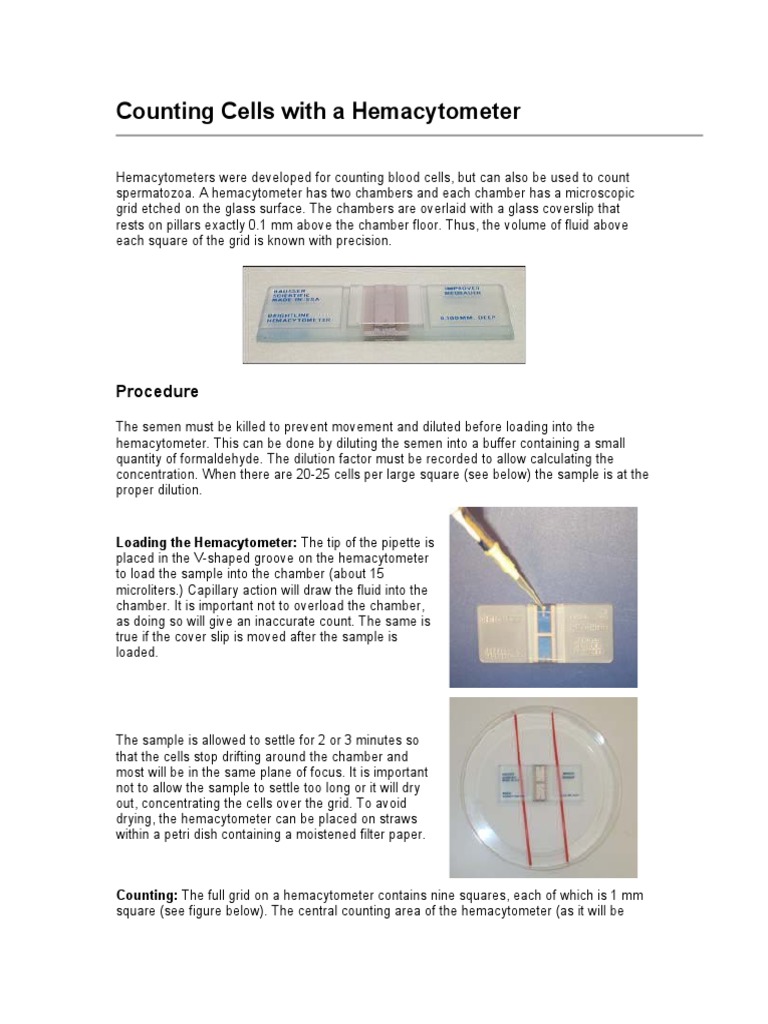 Counting Cells With A Hemacytometer: Procedure | Download Free PDF ...