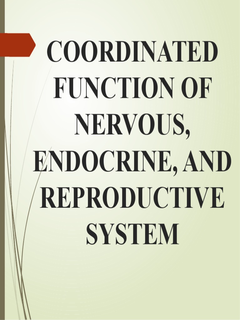 Coordinated Function of Nervous, Endocrine, and Reproductive System | PDF