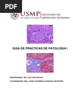 Actualizacion de Protocolos de La Cap | PDF