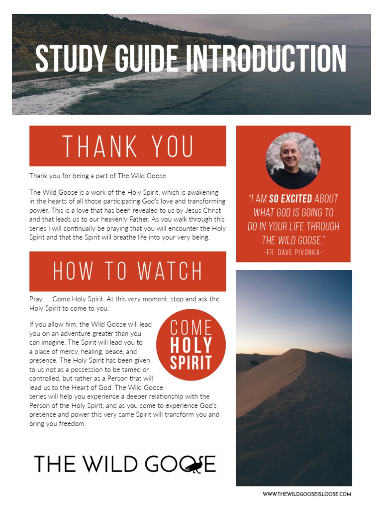 Wild Goose Series Study Guide Overview | PDF