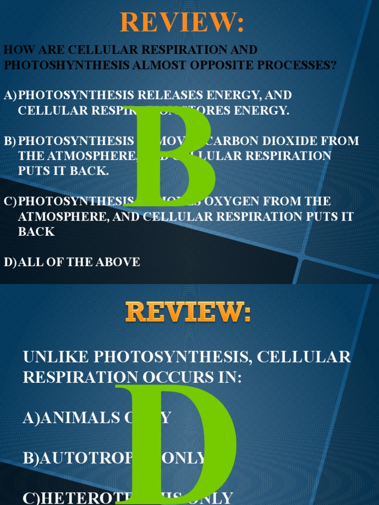 Section 2-The Process of Cellular Respiration | PDF | Cellular ...