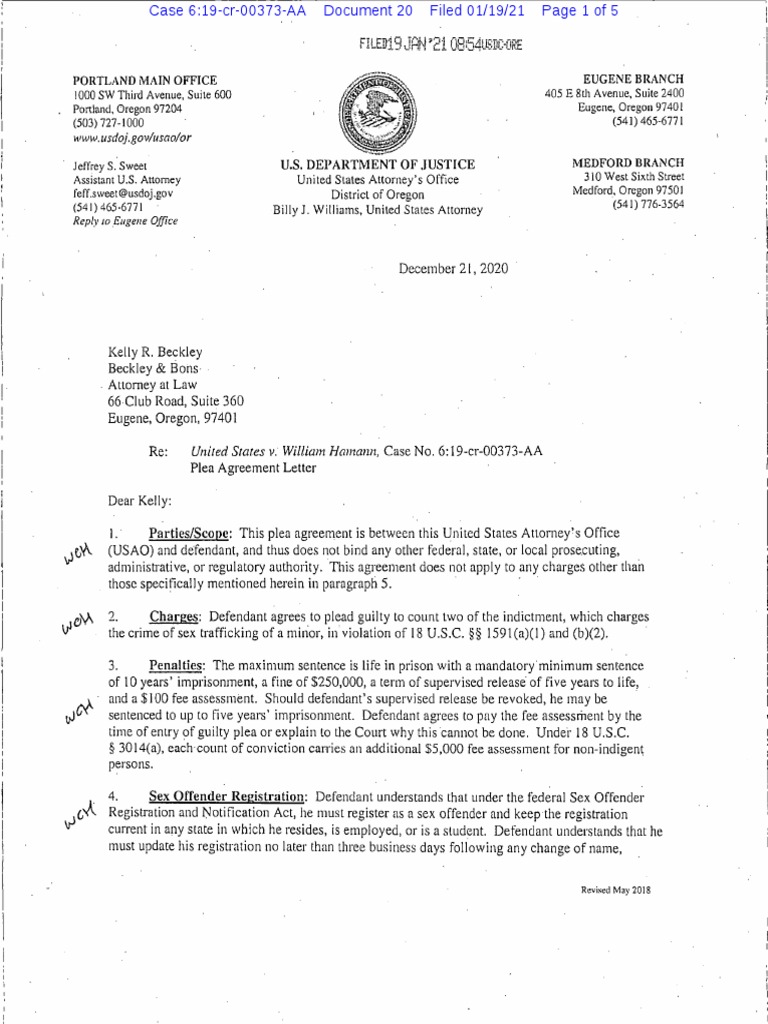 William Cantu Hamann Plea Agreement Letter | PDF | United States ...