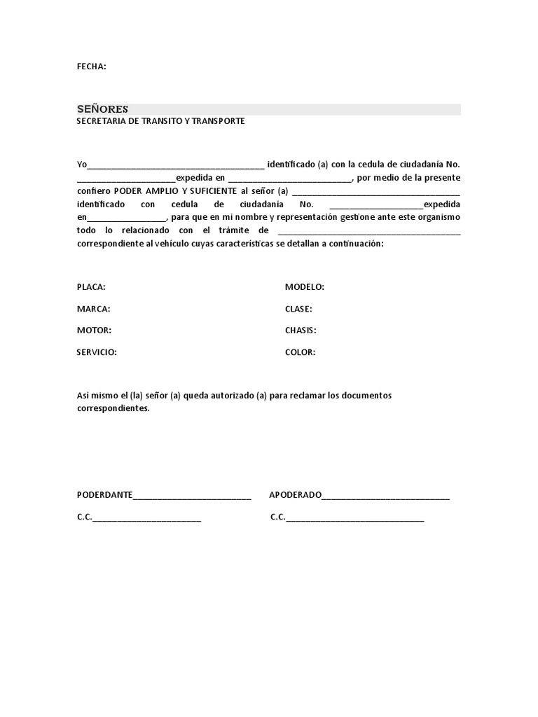 MODELO PODER Traspaso Vehiculo | PDF