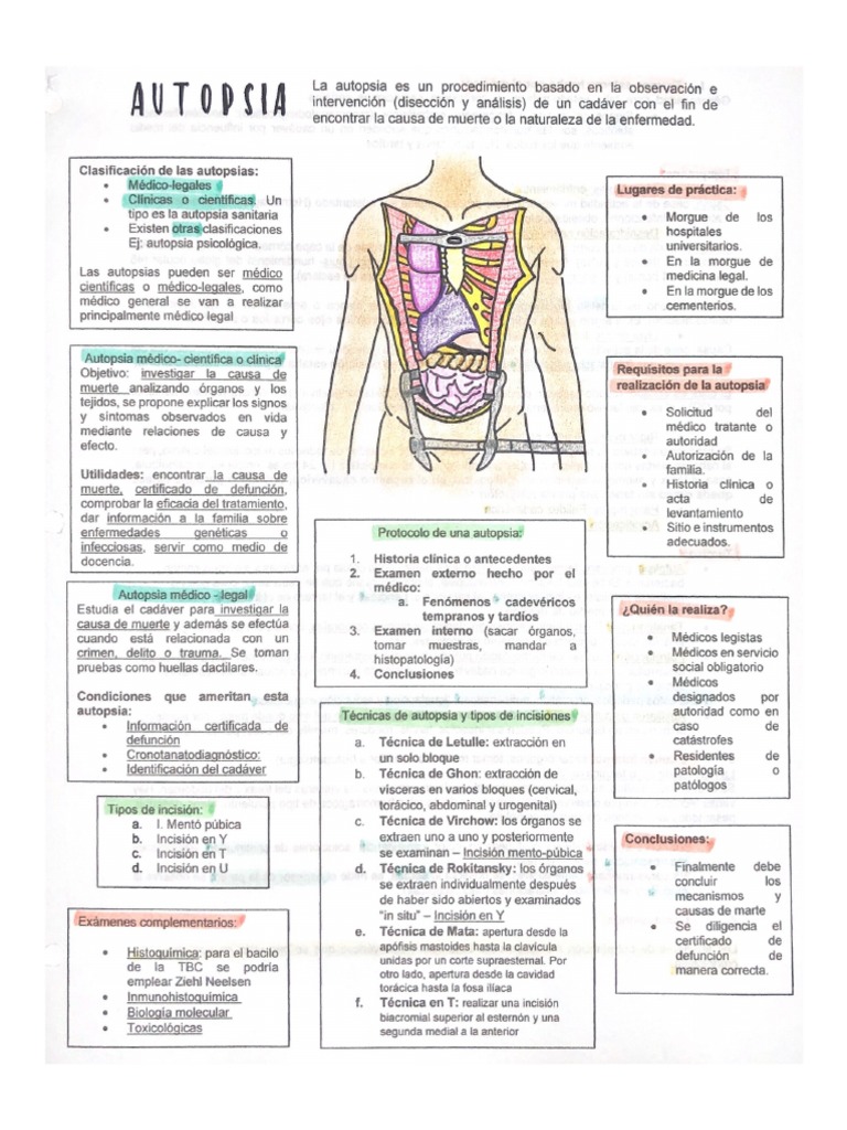 Generalidades de Una Autopsia | PDF