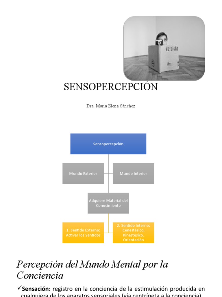 Funciones Mentales Sensopercepción | PDF | Sentidos | Alucinación