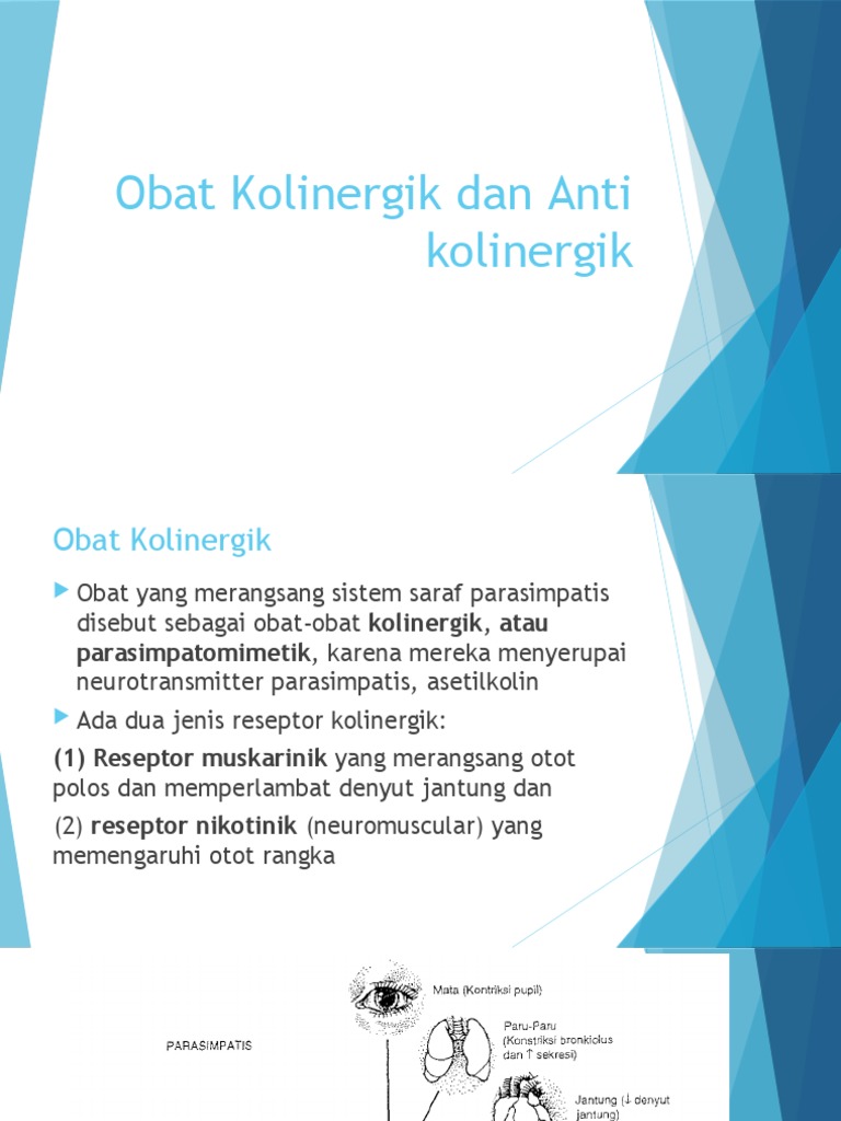 Obat Kolinergik dan Antikolinergik | PDF