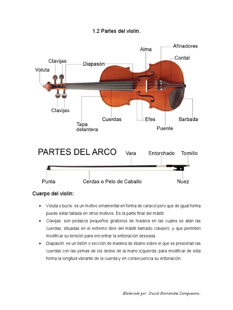 Partes del violín y su arco | PDF | Violín | Guitarras