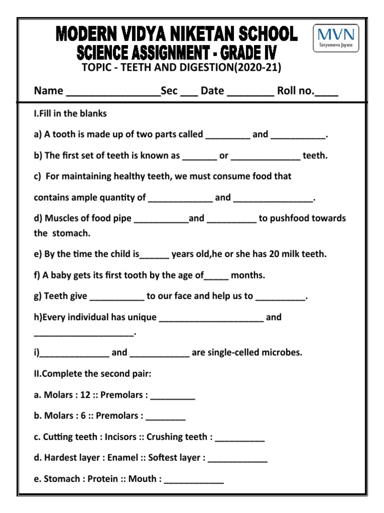 Teeth and Digestion Unsolved Assignment | Download Free PDF | Tooth | Digestion
