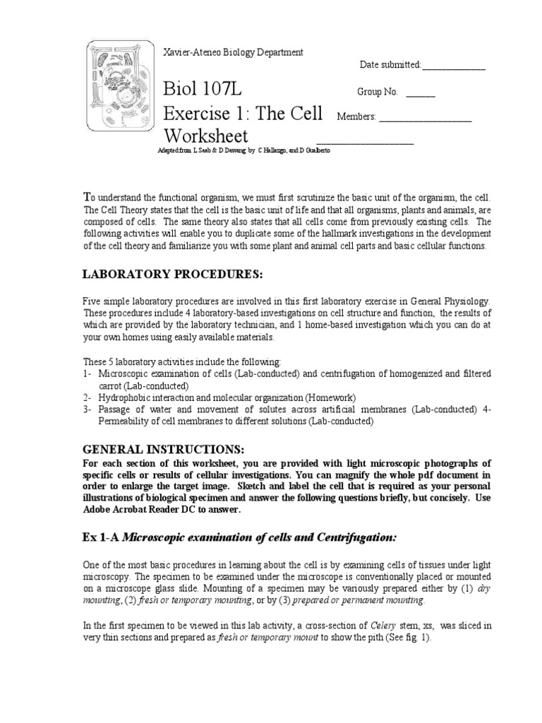 Lab Ex 1 - The Cell | PDF | Cell Membrane | Lipid Bilayer